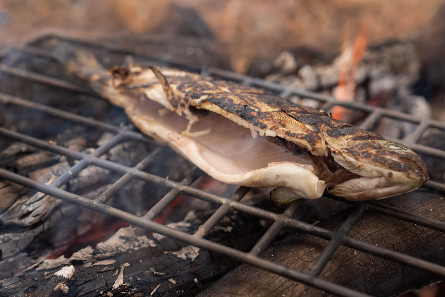 Titanium Backpacking Grill| Rewild Gear – Rewild Gear LLC